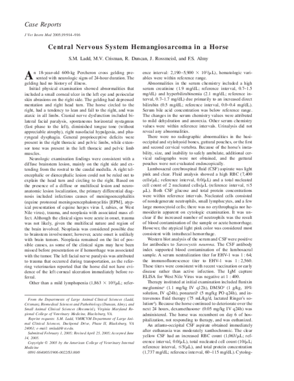 (PDF) Central Nervous System Hemangiosarcoma in a Horse