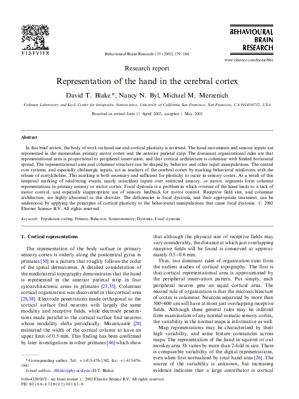 (PDF) Representation of the hand in the cerebral cortex | Michael ...
