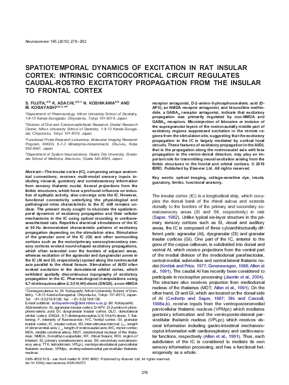 (PDF) Spatiotemporal dynamics of excitation in rat insular cortex ...
