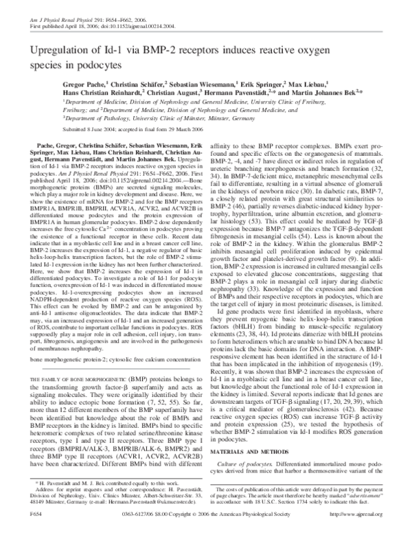 (PDF) Upregulation of Id-1 via BMP-2 receptors induces reactive oxygen ...