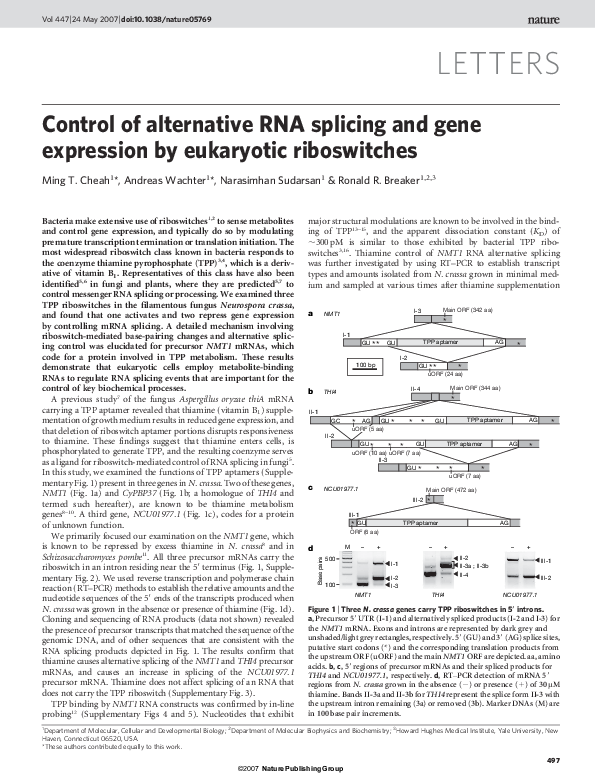 (PDF) Control of alternative RNA splicing and gene expression by eukaryotic riboswitches