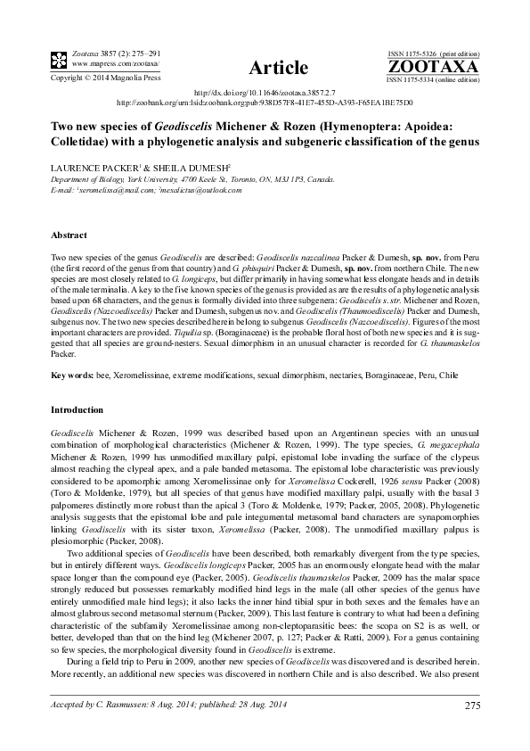 (PDF) Two new species of Geodiscelis Michener & Rozen (Hymenoptera ...