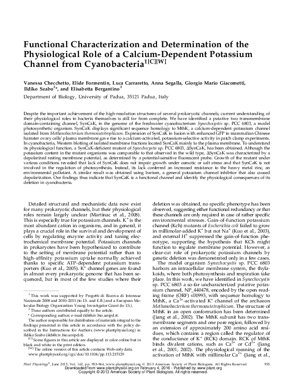 (PDF) Functional Characterization and Determination of the ...