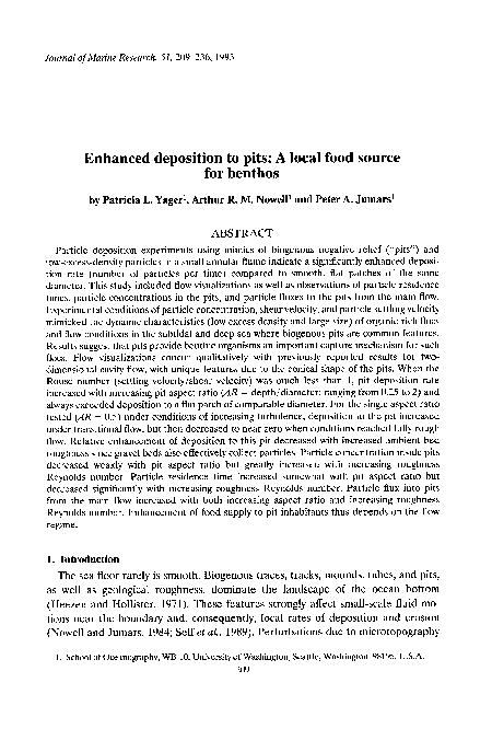 (PDF) Enhanced deposition to pits: A local food source for benthos