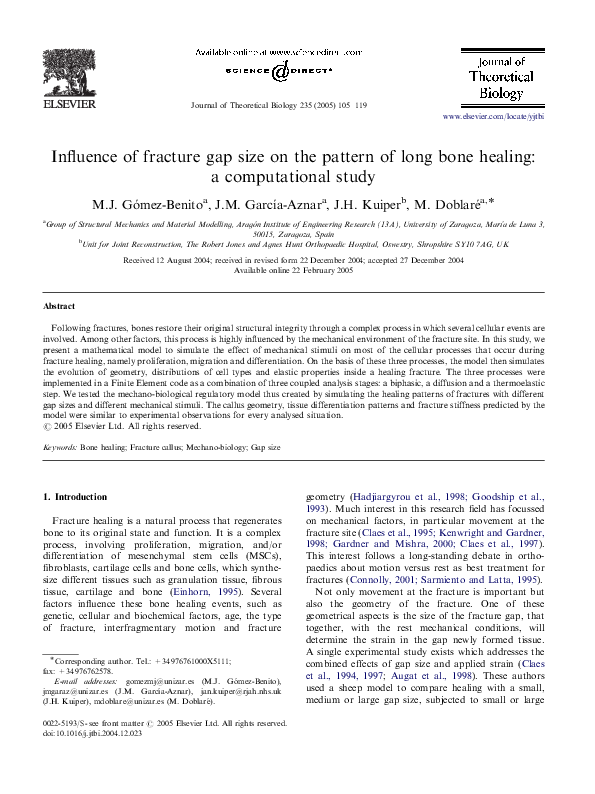(PDF) Influence of fracture gap size on the pattern of long bone ...