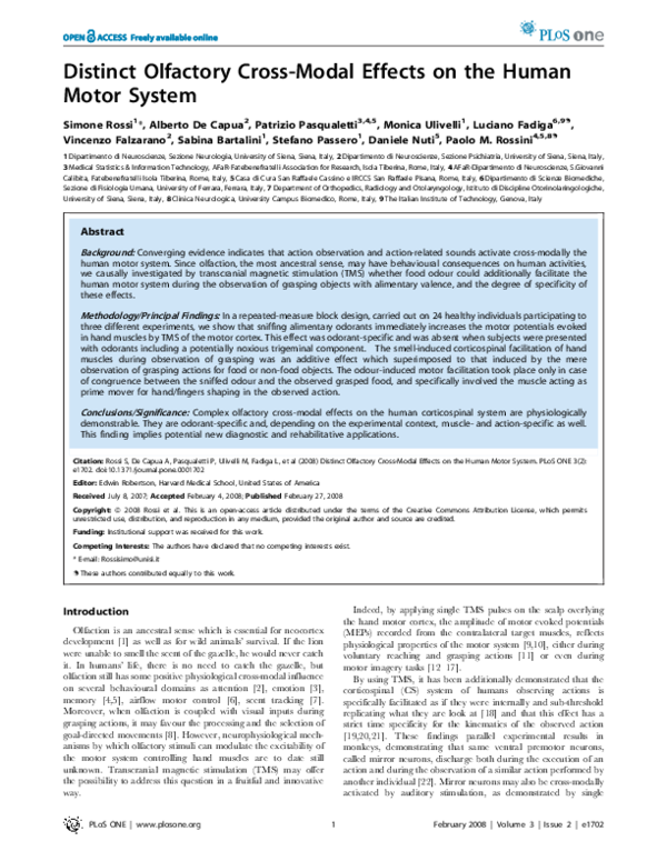 Pdf Distinct Olfactory Cross Modal Effects On The Human Motor System