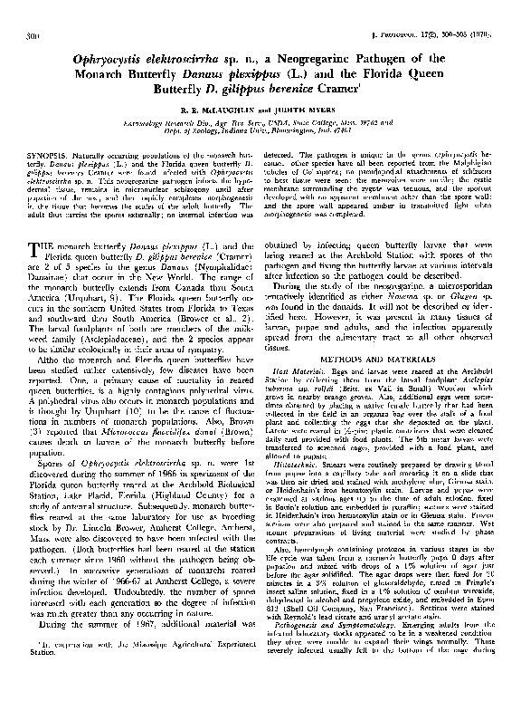 (PDF) Ophryocystis elektroscirrha sp. n., a Neogregarine Pathogen of ...