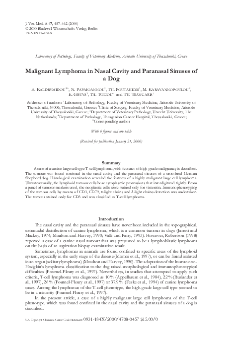 (PDF) Malignant Lymphoma in Nasal Cavity and Paranasal Sinuses of a Dog