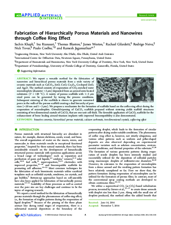 (PDF) Fabrication of Hierarchically Porous Materials and Nanowires ...