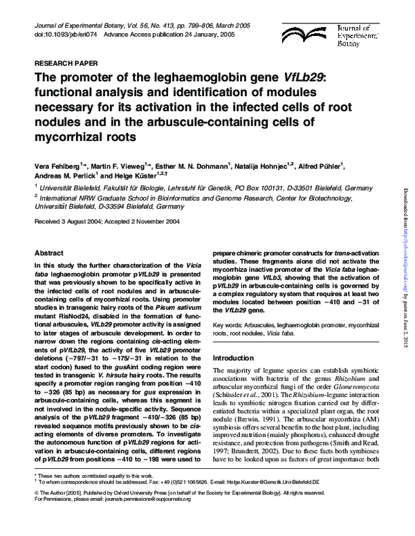 (PDF) The promoter of the leghaemoglobin gene VfLb29: functional ...