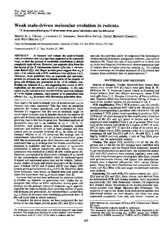 (PDF) Weak male-driven molecular evolution in rodents