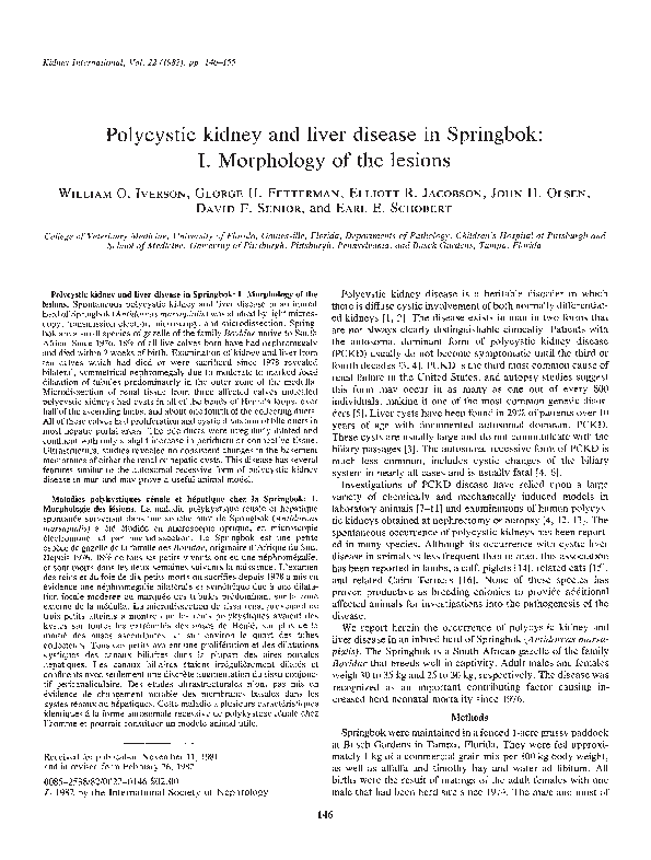 (PDF) Polycystic kidney and liver disease in Springbok: I. Morphology ...