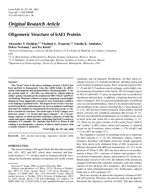 (PDF) Oligomeric Structure of bAE3 Protein