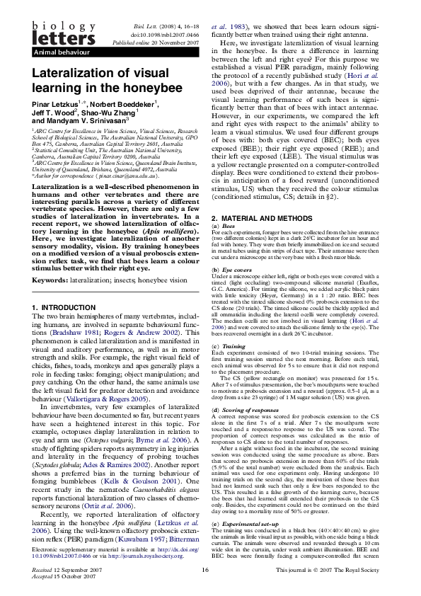 (PDF) Lateralization of visual learning in the honeybee