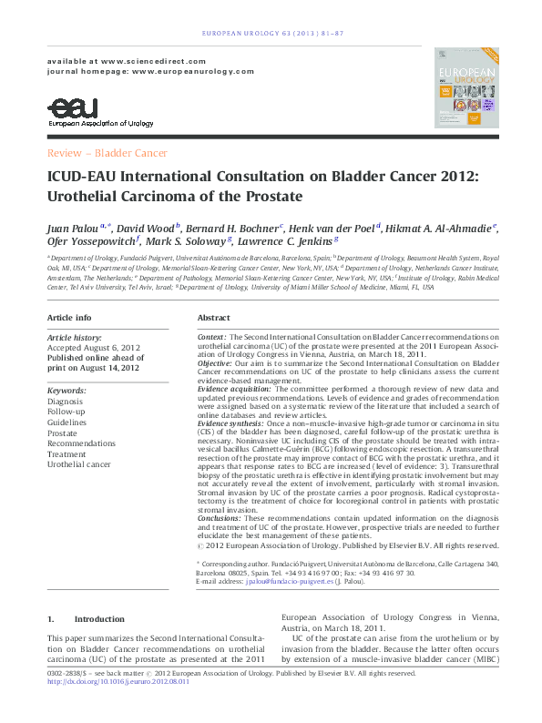 Pdf Diagnosis Of Non Muscle Invasive Bladder Cancer Marc Colombel