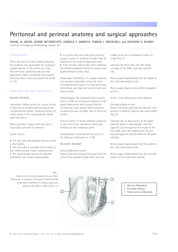 (PDF) Peritoneal and perineal anatomy and surgical approaches