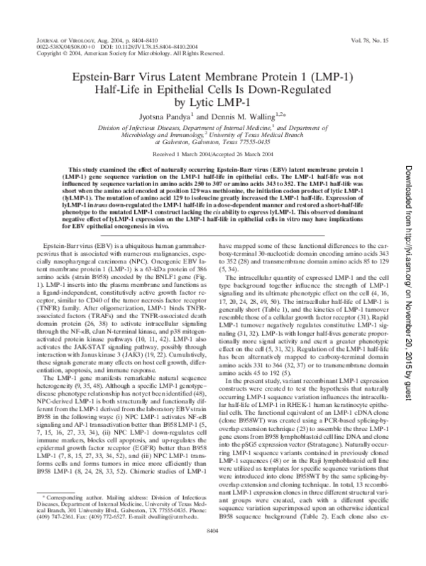 (PDF) The epstein-barr virus latent membrane protein-1 (LMP1) induces ...