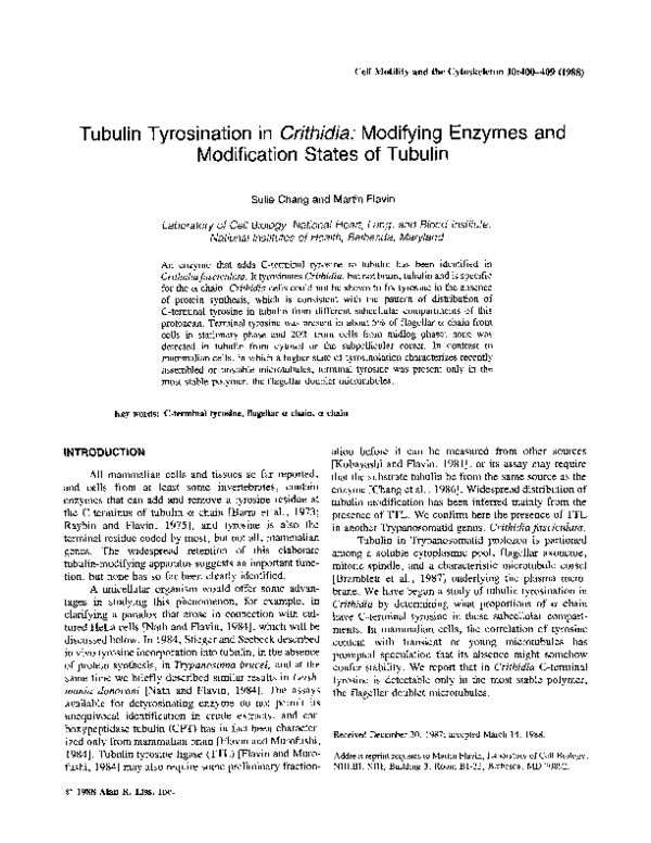 (PDF) Tubulin tyrosination inCrithidia: Modifying enzymes and ...