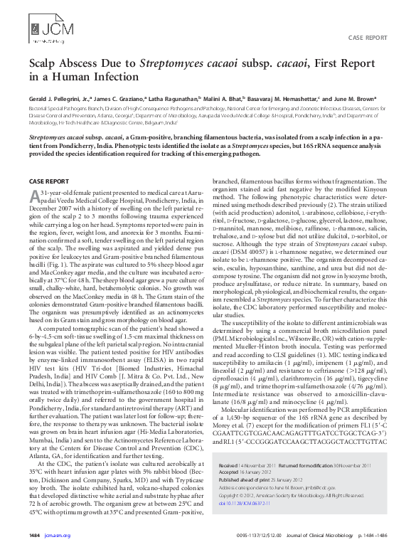 (PDF) Scalp Abscess Due to Streptomyces cacaoi subsp. cacaoi, First ...