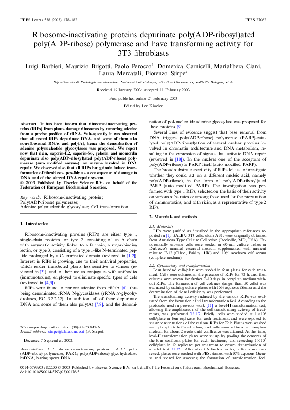 (PDF) Ribosome-inactivating proteins depurinate poly(ADP-ribosyl)ated ...