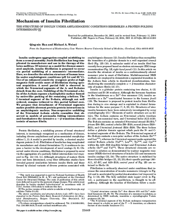 (PDF) Mechanism of Insulin Fibrillation: THE STRUCTURE OF INSULIN UNDER ...