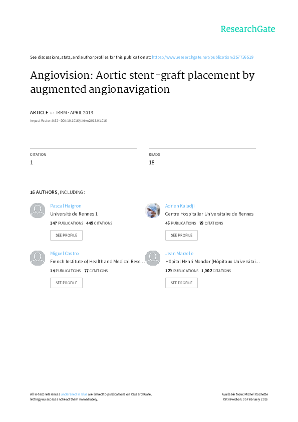 (PDF) Angiovision: Aortic stent-graft placement by augmented ...