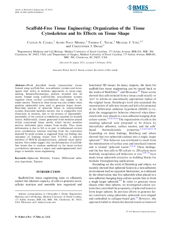 (PDF) Scaffold-Free Tissue Engineering: Organization of the Tissue ...