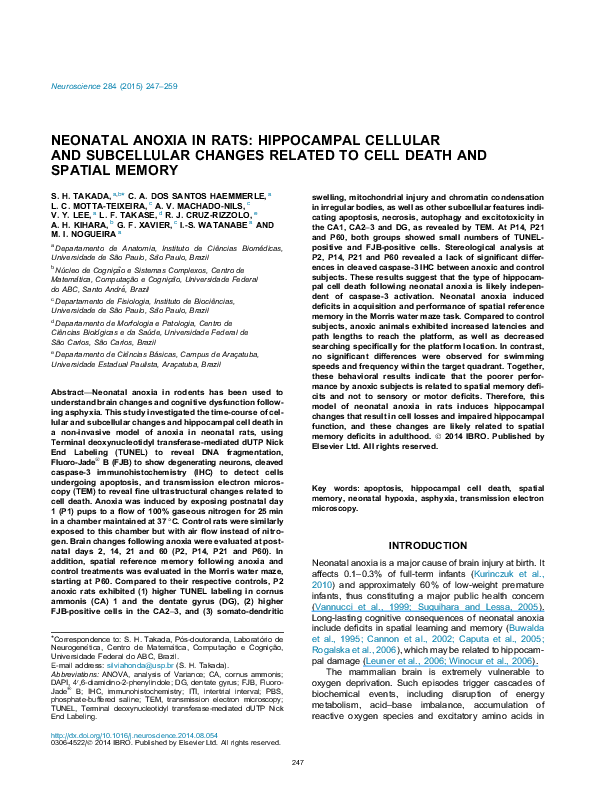 (PDF) Neonatal anoxia in rats: hippocampal cellular and subcellular ...