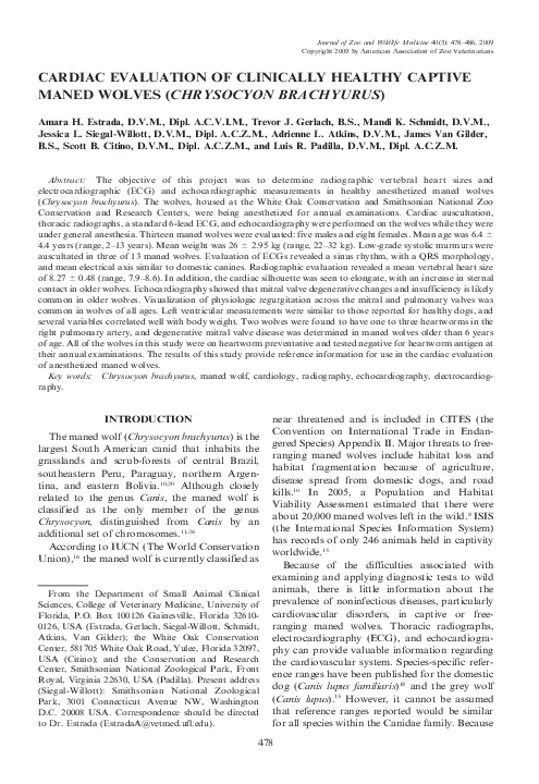 (PDF) Cardiac Evaluation of Clinically Healthy Captive Maned Wolves ...