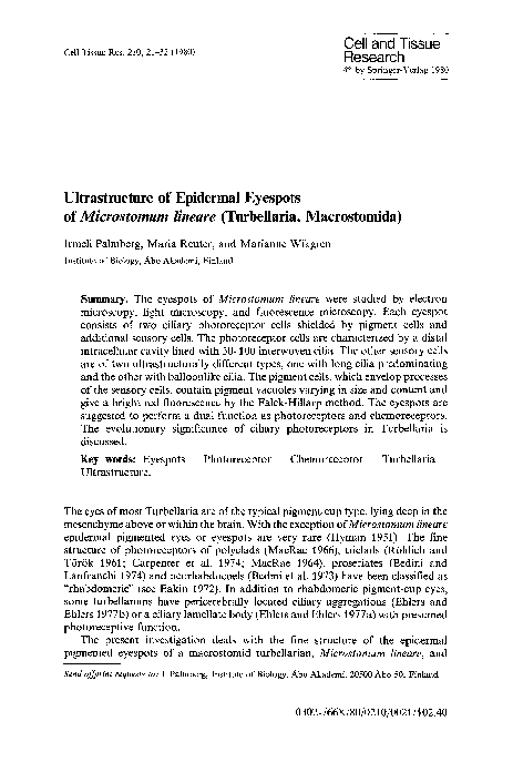 (PDF) Ultrastructure of epidermal eyespots of Microstomum lineare ...
