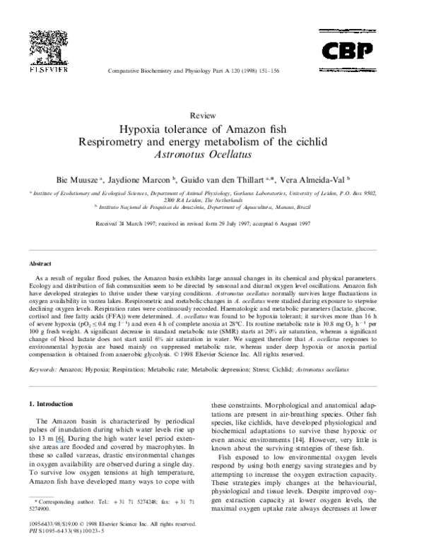 (PDF) Hypoxia tolerance of Amazon fish: respirometry and energy ...