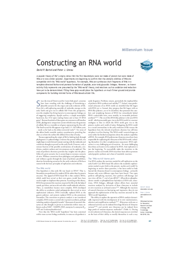 (PDF) Constructing an RNA world