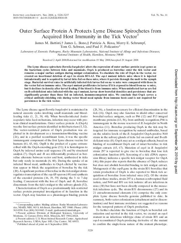(PDF) Outer Surface Protein A Protects Lyme Disease Spirochetes from ...