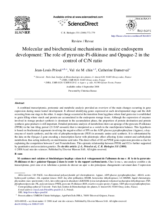 (PDF) Molecular and biochemical mechanisms in maize endosperm development: The role of pyruvate ...