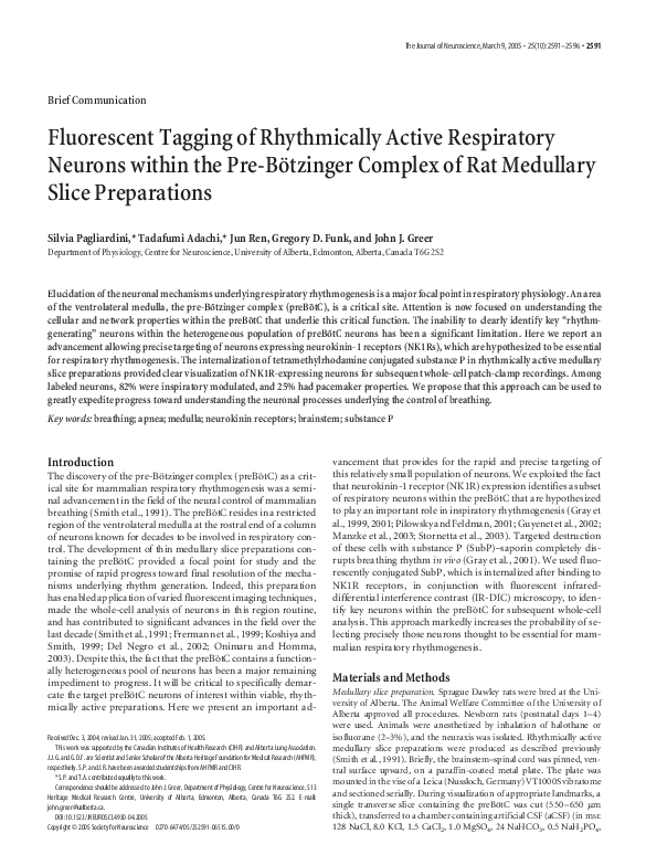 (PDF) Identifying neurons in the PreB tzinger complex that generate respiratory rhythm ...