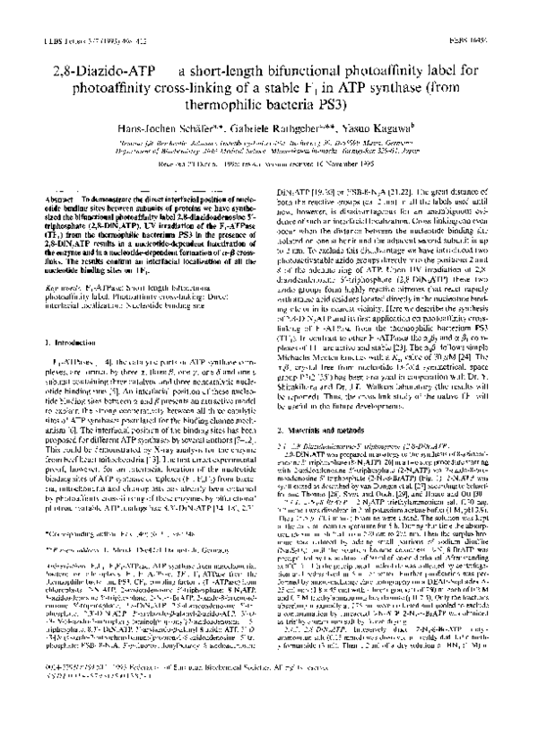 (PDF) 2,8-Diazido-ATP — a short-length bifunctional photoaffinity label ...