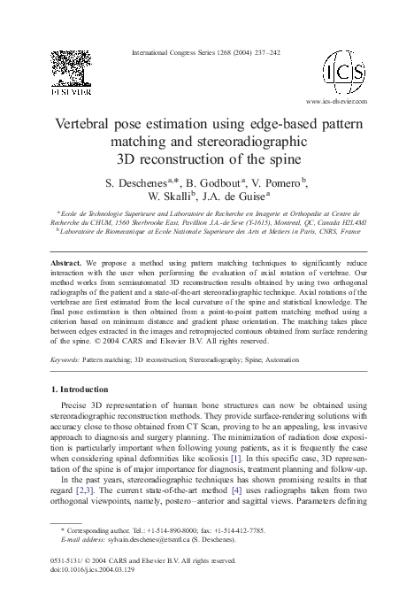 (PDF) Vertebral pose estimation using edge-based pattern matching and stereoradiographic 3D ...