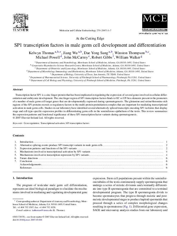 (PDF) SP1 transcription factors in male germ cell development and ...
