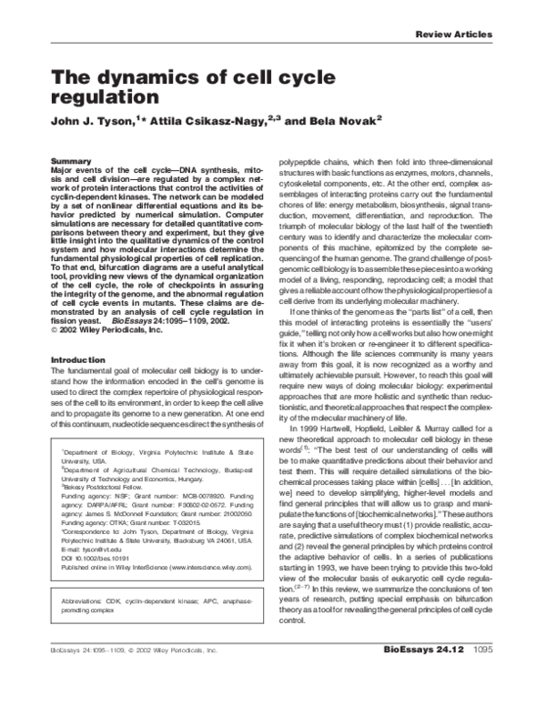 (PDF) The dynamics of cell cycle regulation