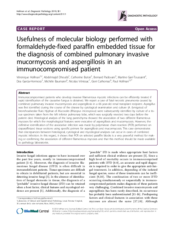 (PDF) Usefulness of molecular biology performed with formaldehyde-fixed paraffin embedded tissue ...