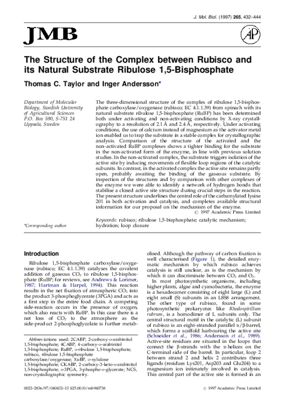(PDF) The structure of the complex between rubisco and its natural ...