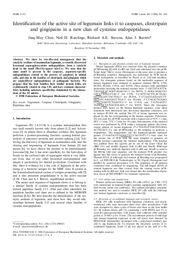 (PDF) Identification of the active site of legumain links it to ...