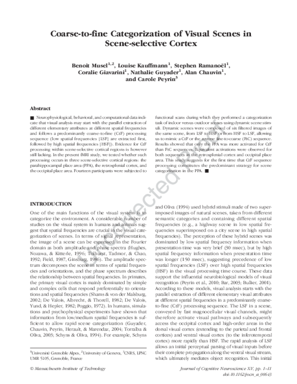 (PDF) Coarse-to-fine Categorization of Visual Scenes in Scene-selective Cortex
