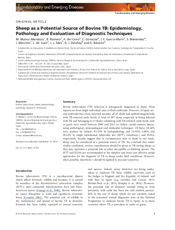 (PDF) Sheep as a Potential Source of Bovine TB: Epidemiology, Pathology ...