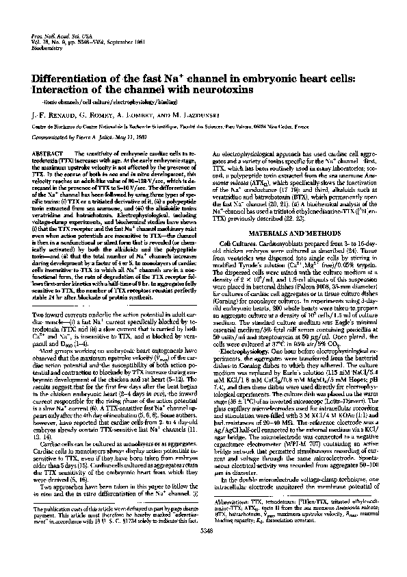 (PDF) Differentiation of the fast Na+ channel in embryonic heart cells ...