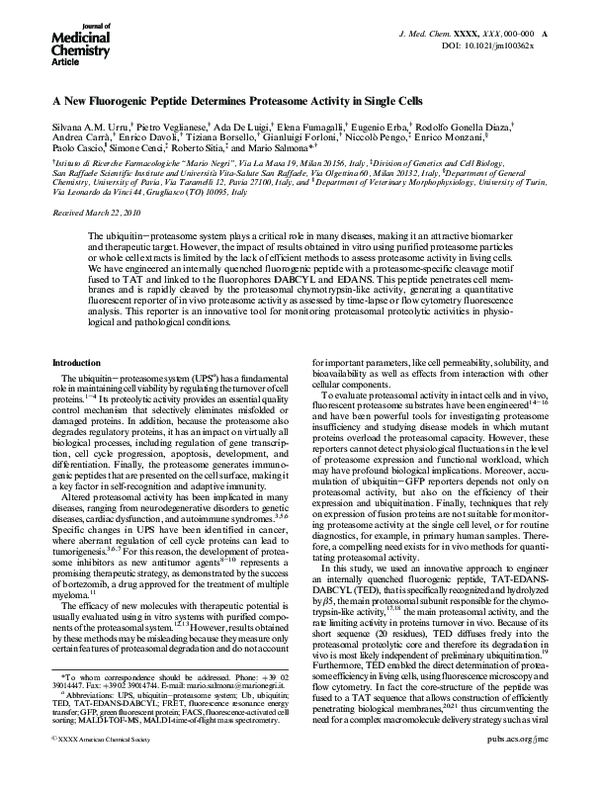 (PDF) A New Fluorogenic Peptide Determines Proteasome Activity in ...