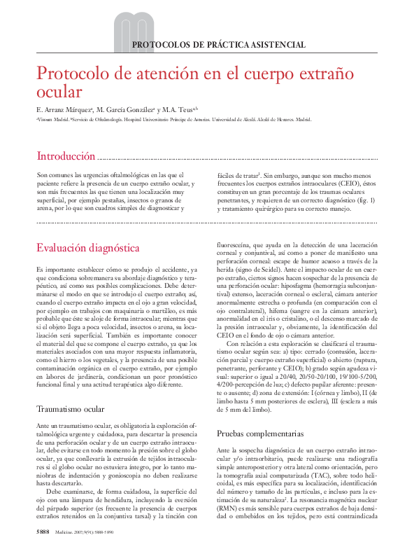 (PDF) Protocolo de atenci?n en el cuerpo extra?o ocular