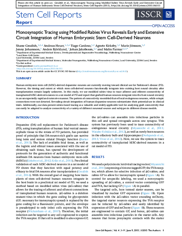(PDF) Monosynaptic Tracing using Modified Rabies Virus Reveals Early and Extensive Circuit ...