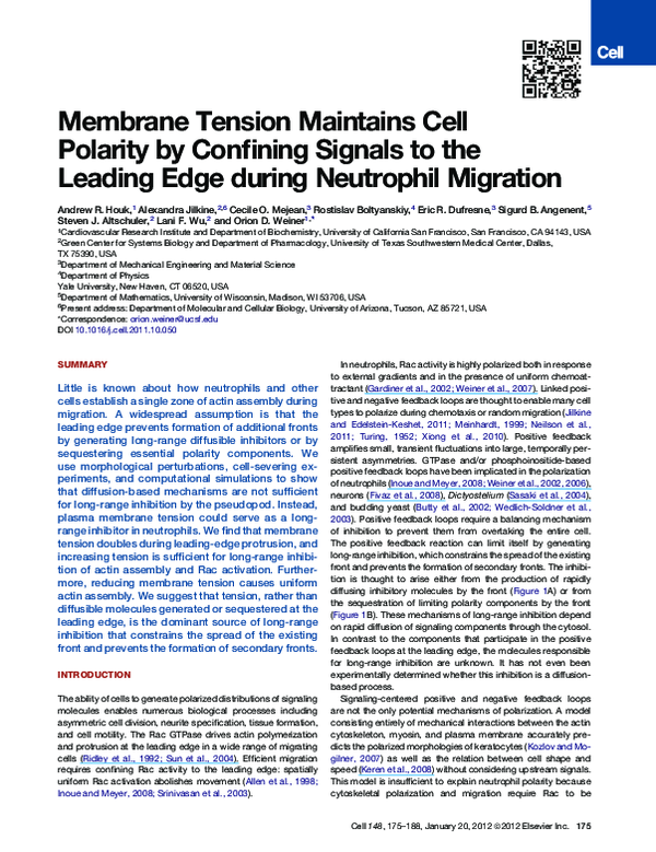 (PDF) Membrane Tension Maintains Cell Polarity by Confining Signals to ...