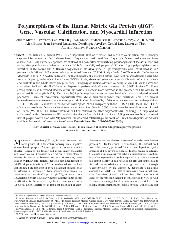 (PDF) Polymorphisms of the Human Matrix Gla Protein (MGP) Gene ...